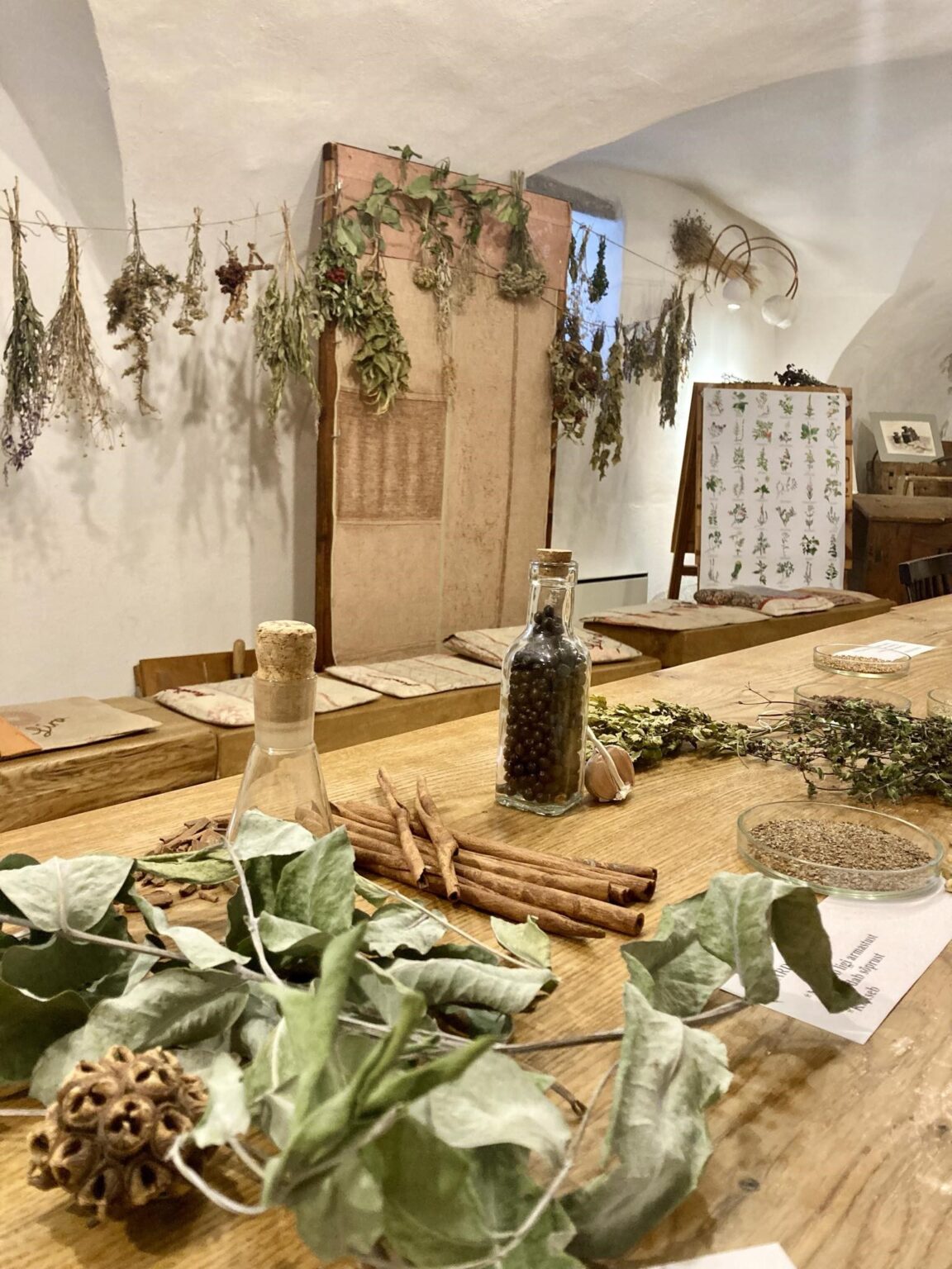 Linna-ja ajaloo matkad – Medievaldays